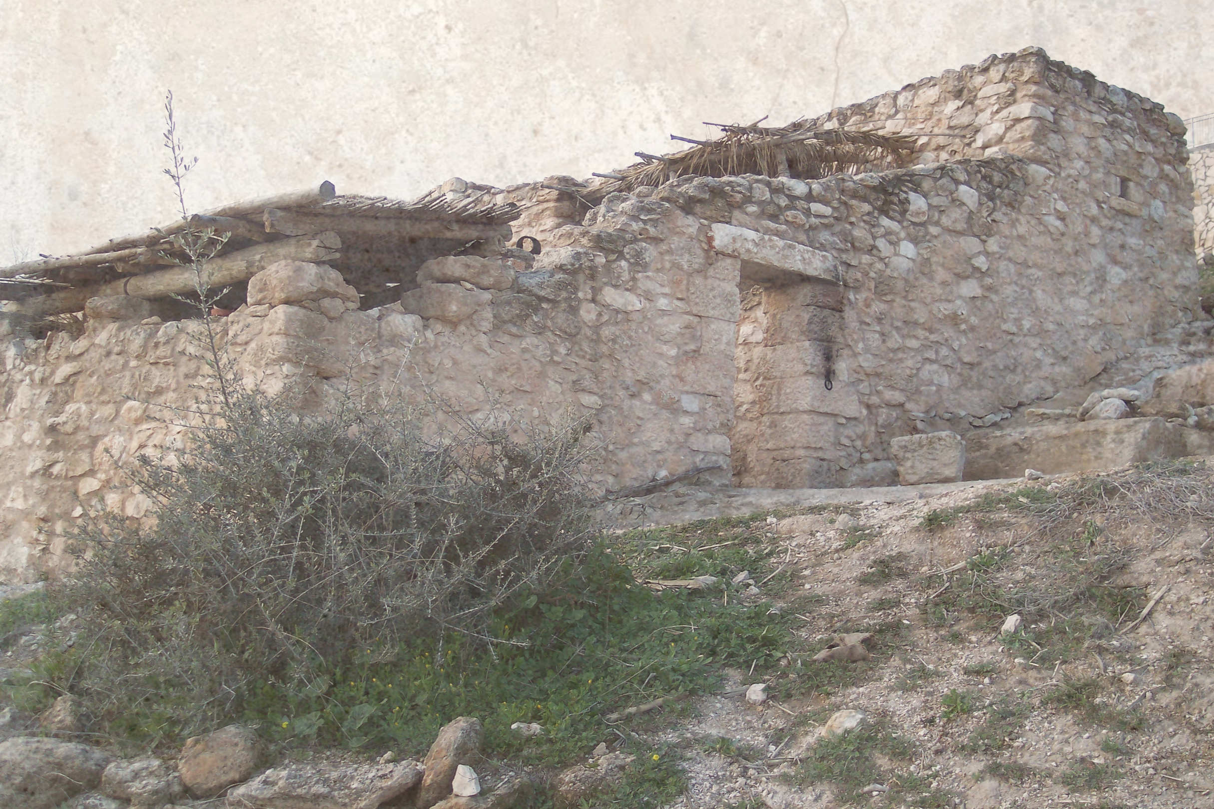 Tonight in Bethlehem, Part 1 – Elisabeth Adams